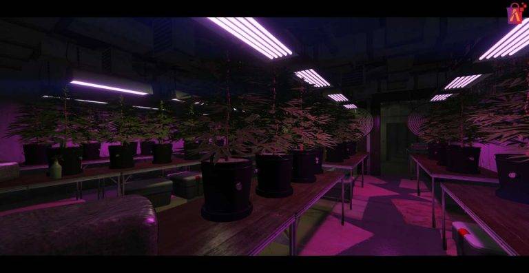 FiveM Secret Weed Farm | FiveM Hidden Location - FiveM Mlo Store