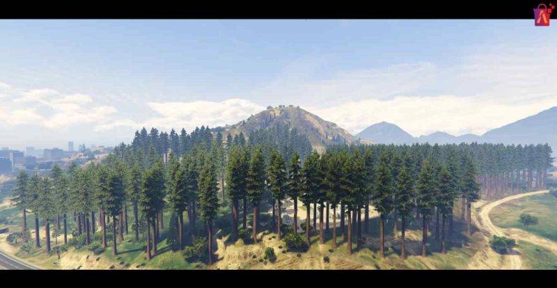 FiveM Forest Ymap | FiveM Tree Pack - FiveM Mlo Store